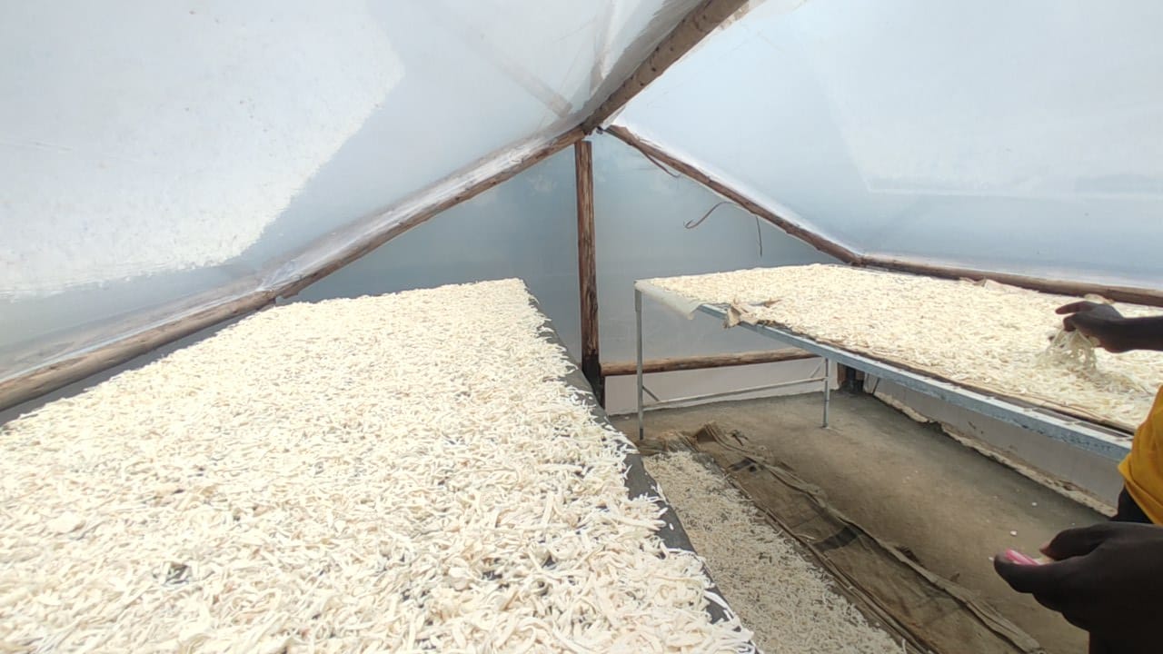 The effects of cassava drying technology on commercialization and consumption smoothing in rural ...